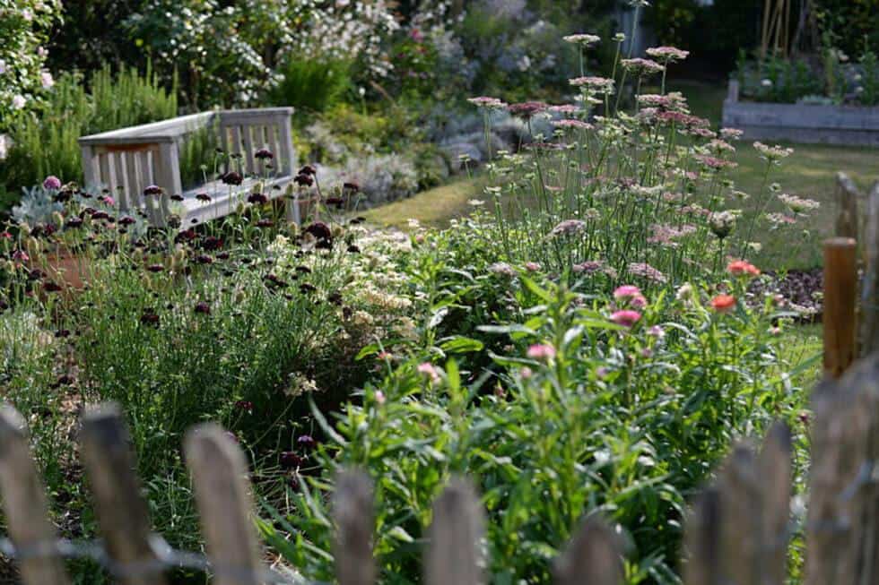 Slow Flowers - Was steckt dahinter? - blooms.de