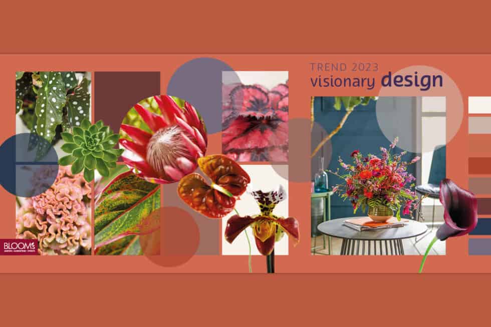 Visionary design - Das neue Design, das zur sinnlichen Formensprache ...