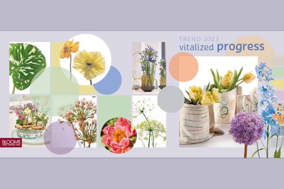 Vitalized progress: Die grüne Wohlfühloase - blooms.de