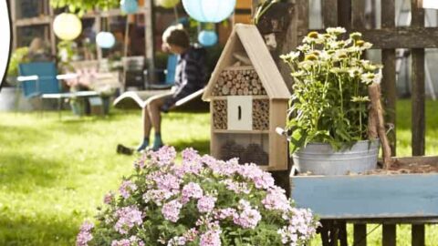DIY-Insektengarten - Darauf fliegen Schmetterlinge, Bienen und Co ...