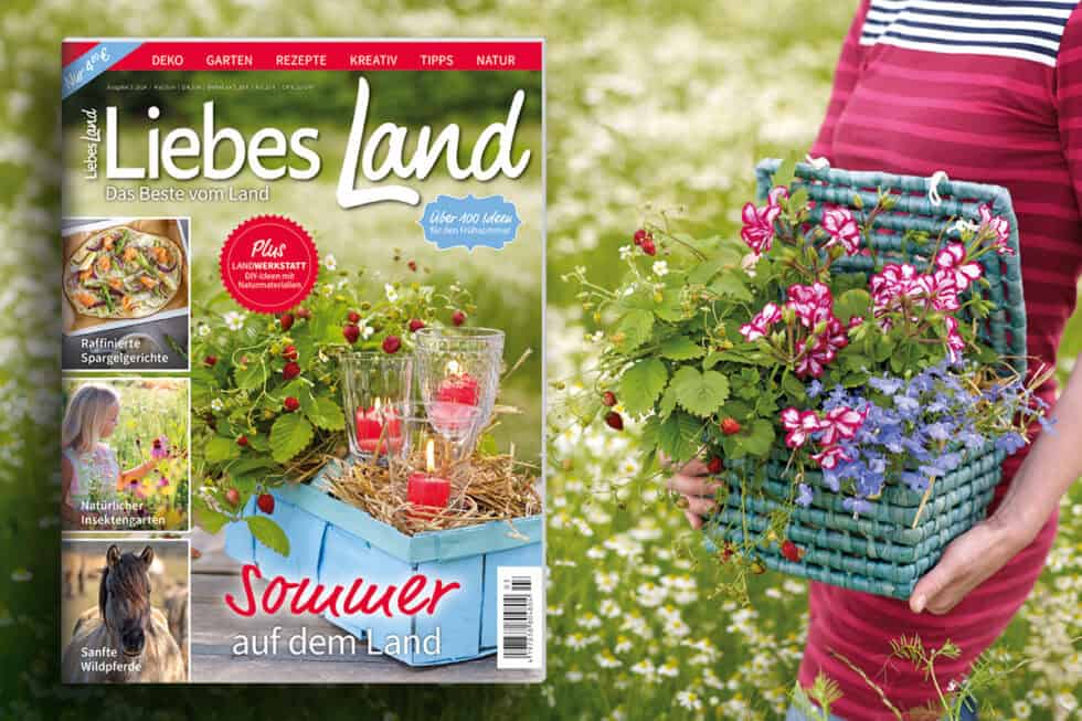 Sommer auf dem Land: Die neue "Liebes Land-Ausgabe" ist da! - blooms.de
