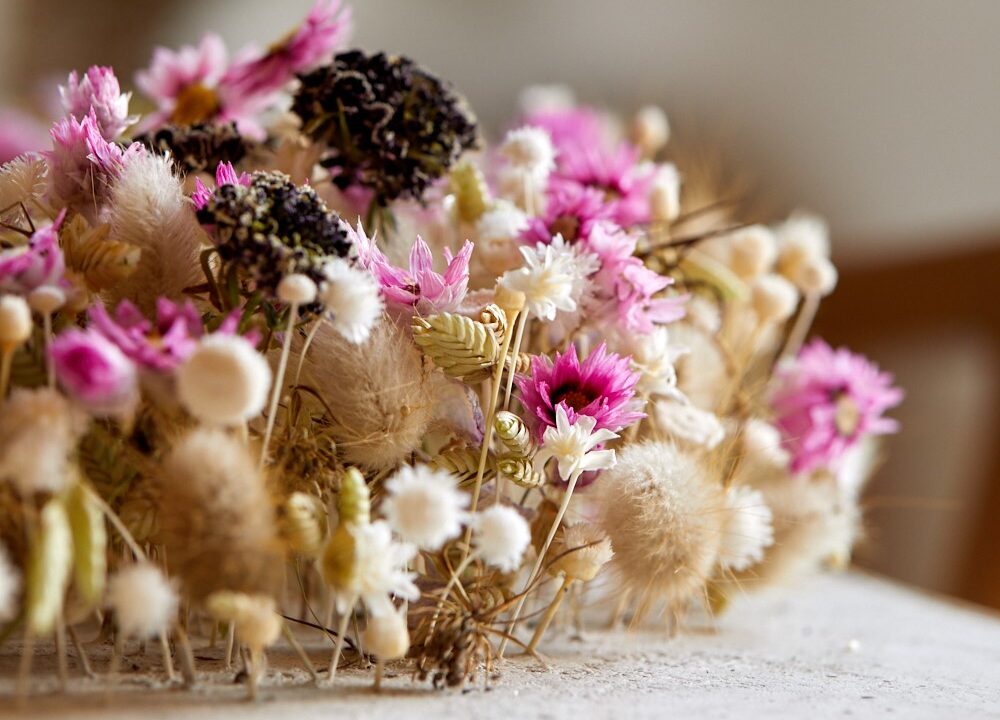 Wunderschone Wie Blumen Trocknen Bild