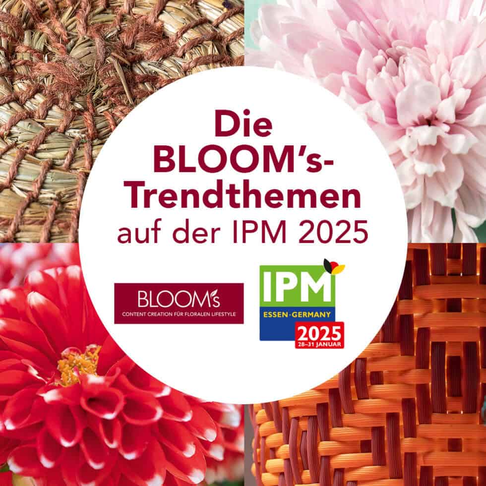 Die neuen BLOOM’s Trends 2025 auf der IPM Essen 2025 - blooms.de