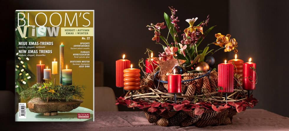 Die neue BLOOM’s VIEW 2/2025 ist da! - blooms.de